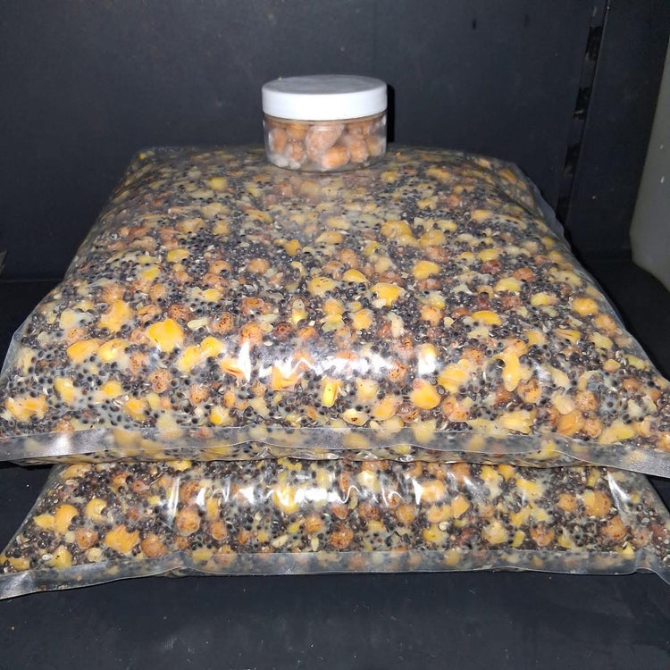 Fresh, High-Quality Fishing Particles & Baits – Impact Particles