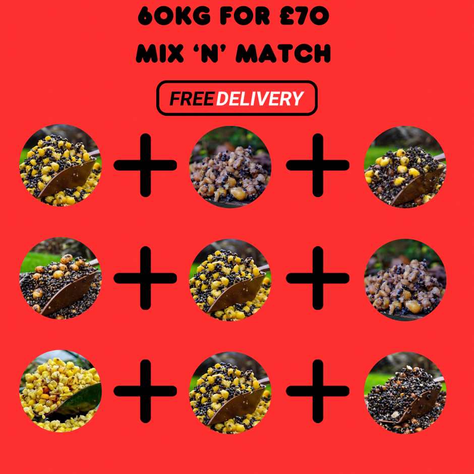 Fresh, High-Quality Fishing Particles & Baits – Impact Particles