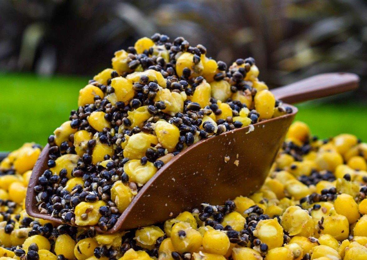 Impact Particles | Fresh, High-Quality Fishing Particles & Baits