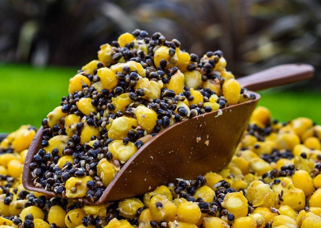 Hemp & Maize | Impact Particles