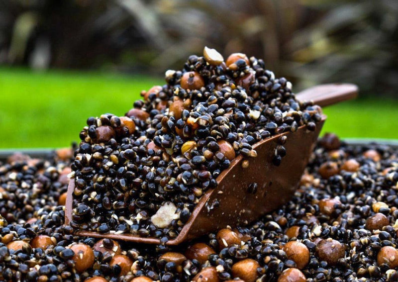 Impact Particles | Fresh, High-Quality Fishing Particles & Baits