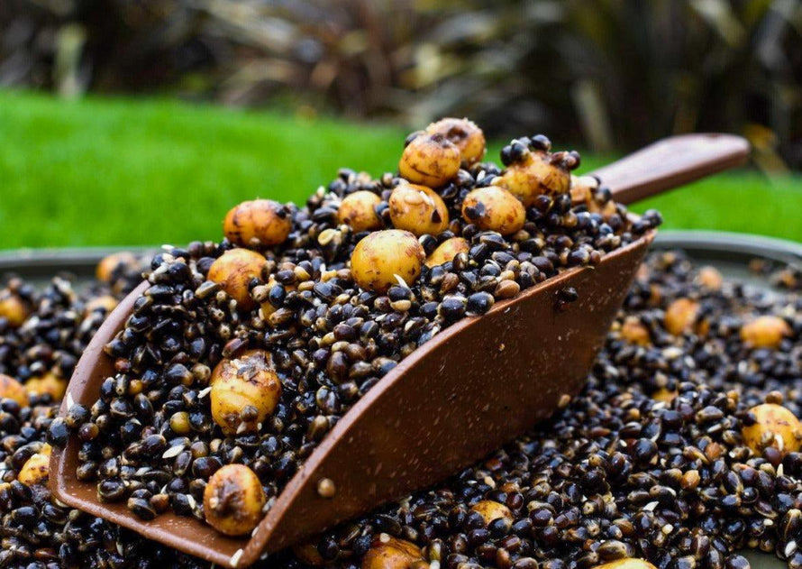 Impact Particles | Fresh, High-Quality Fishing Particles & Baits