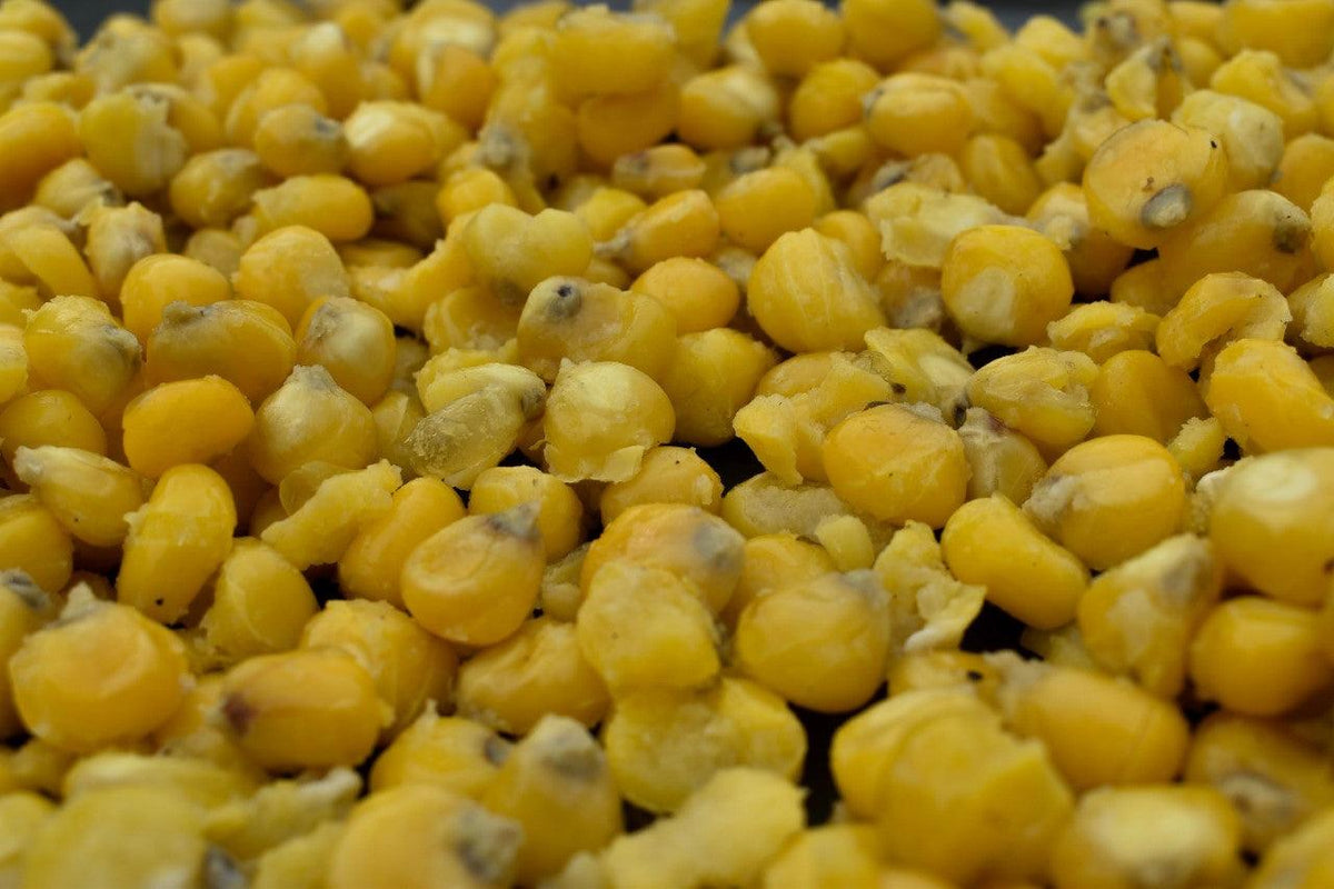 Maize| Impact Particles