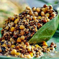 Impact Nutty | Impact Particles