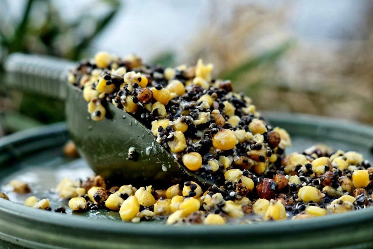 Hemp & Maize & Tigers (H.M.T)| Impact Particles